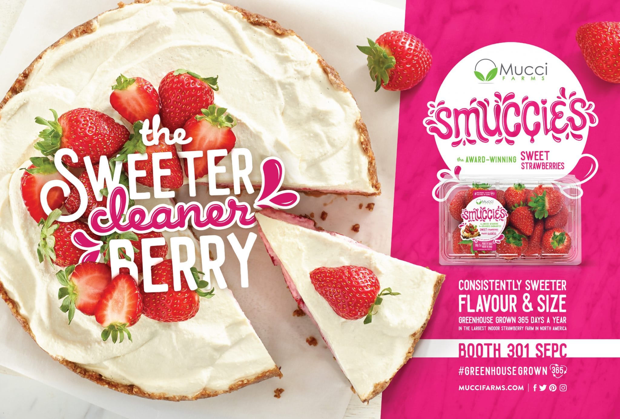 Mucci Farms Case Study - BP imaging - Commercial Photography